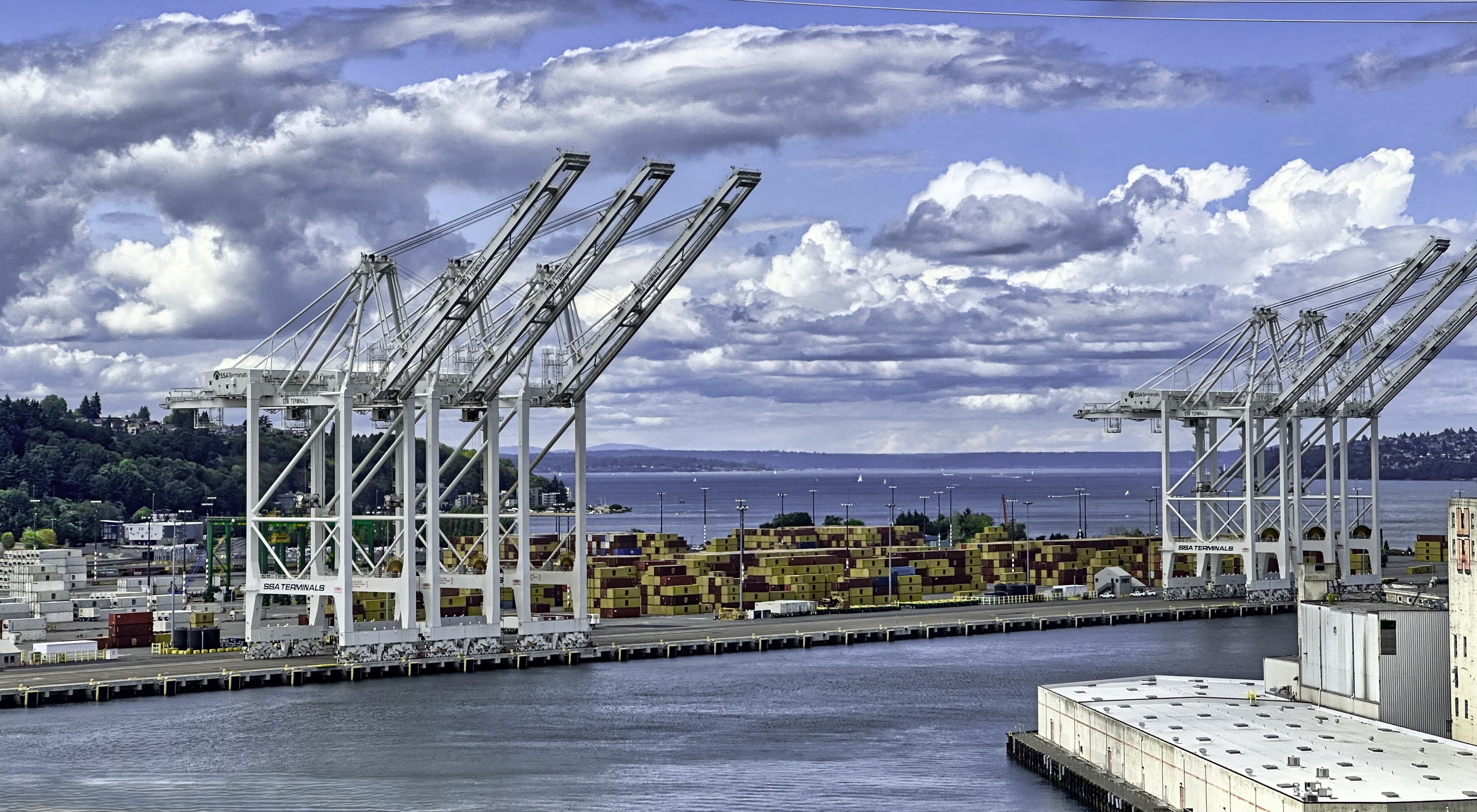 NWSA reports record-breaking week amidst market volatility; West ...